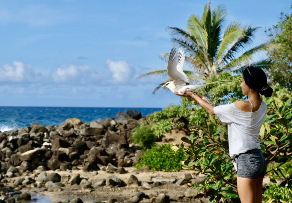 Faces of Seabird Conservation – Pacific Seabird Group
